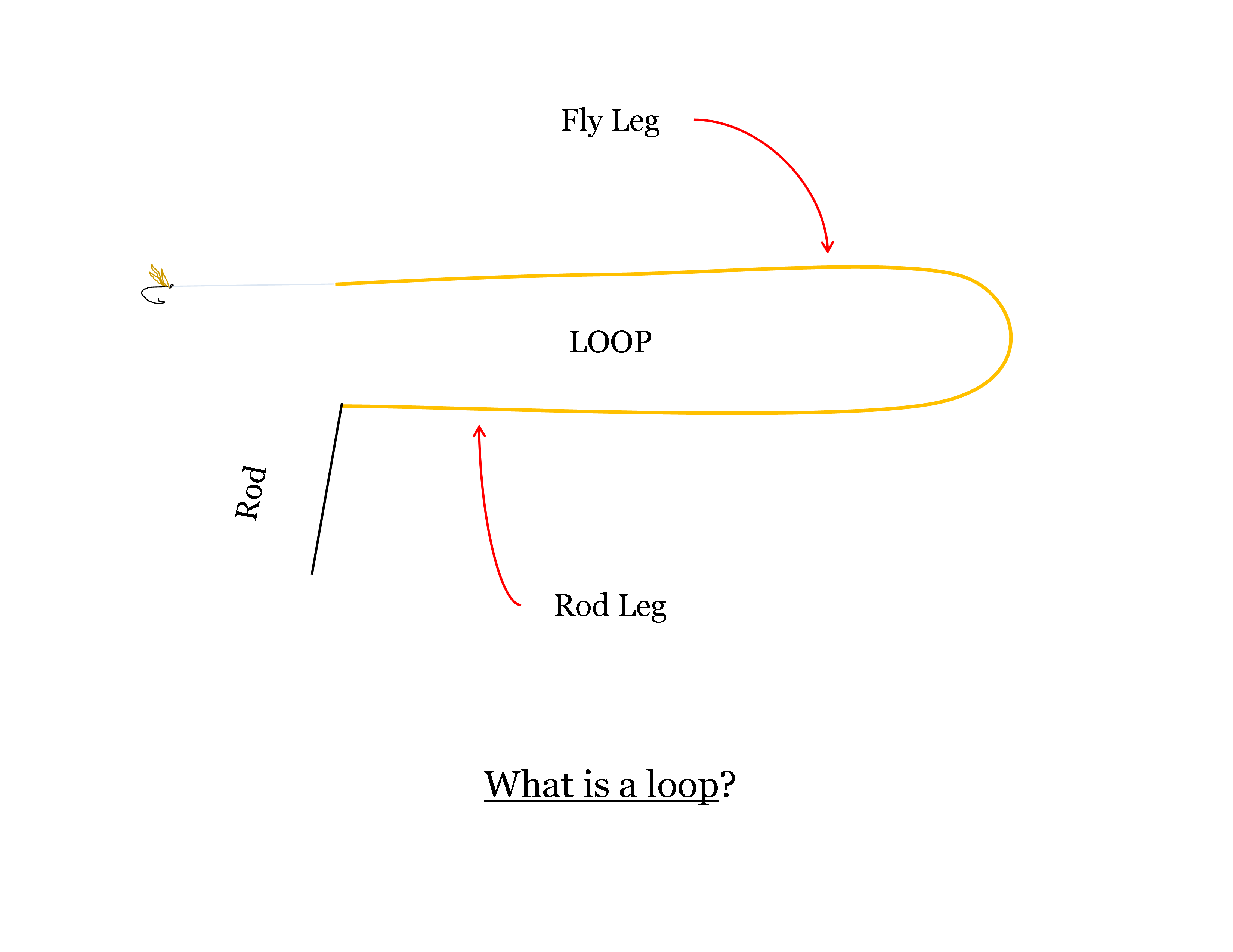 The Five Variables of Fly Casting – Dirt Roads and Blue Lines